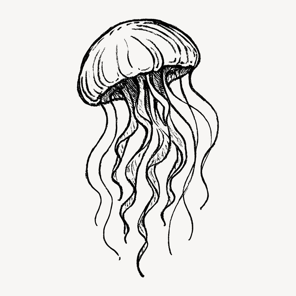 Elegant jellyfish ink illustration vector | Free Vector - rawpixel