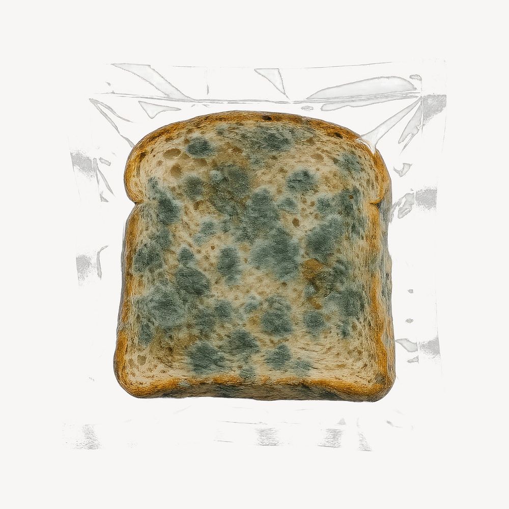 Moldy bread slice in bag | Free Photo - rawpixel