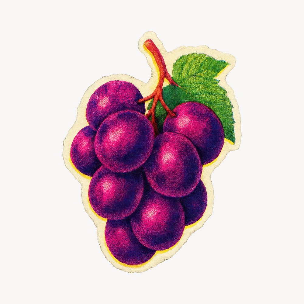 Vibrant grapes illustration PNG | Free Photo Illustration - rawpixel