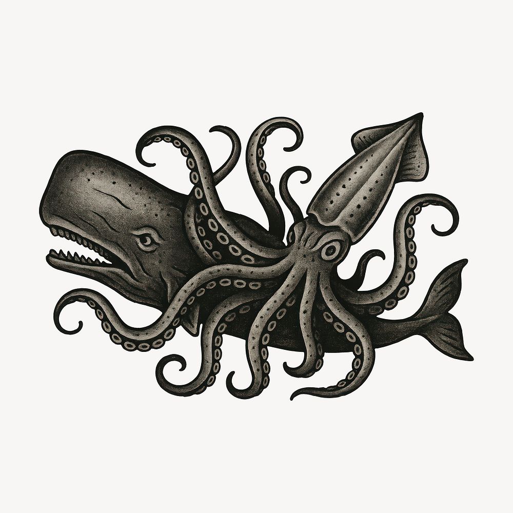 Squid Design Images | Download Free Design Resources on rawpixel