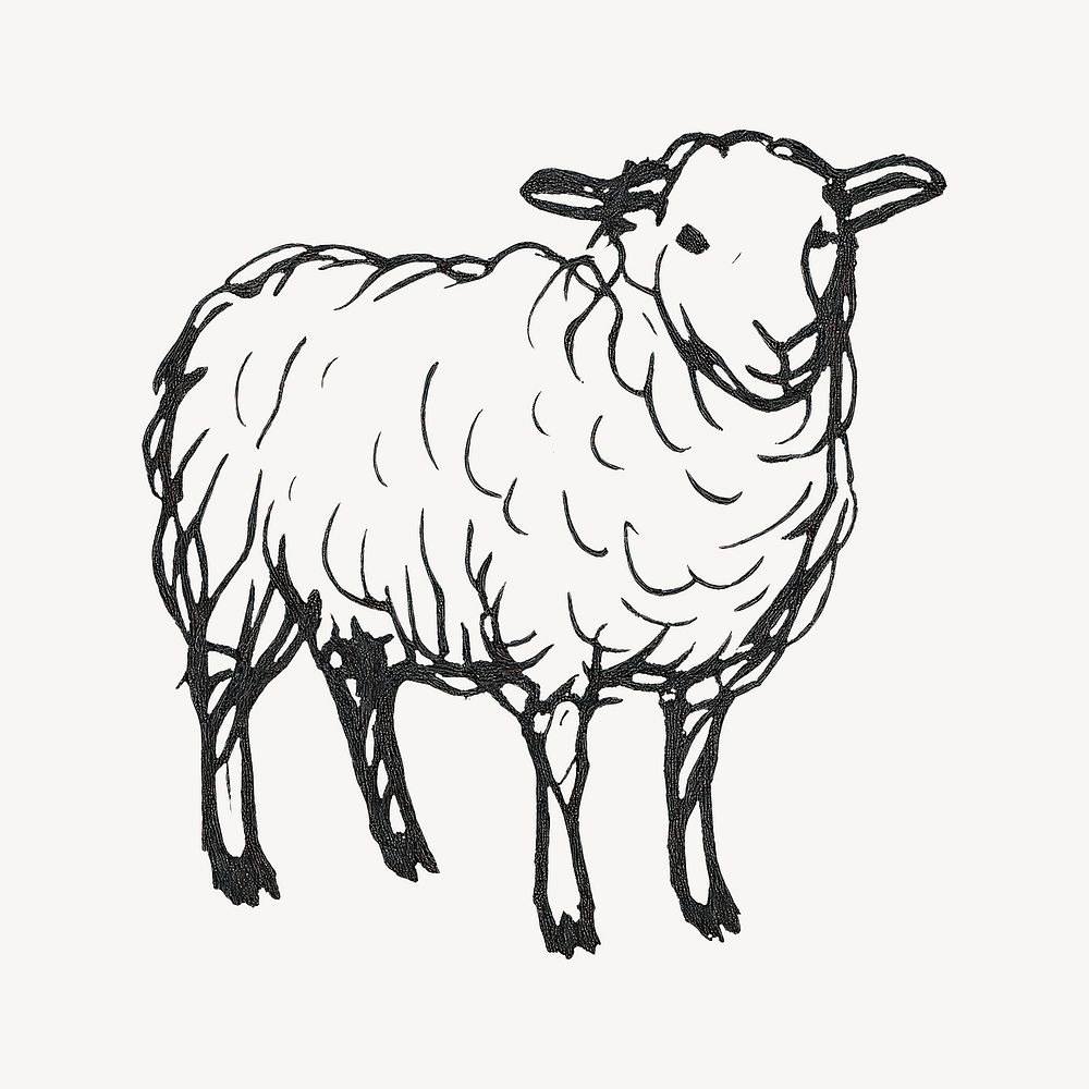 Hand-drawn sheep illustration art | Free Photo Illustration - rawpixel