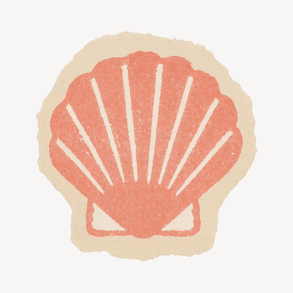 Vintage seashell illustration on paper | Free Photo Illustration - rawpixel