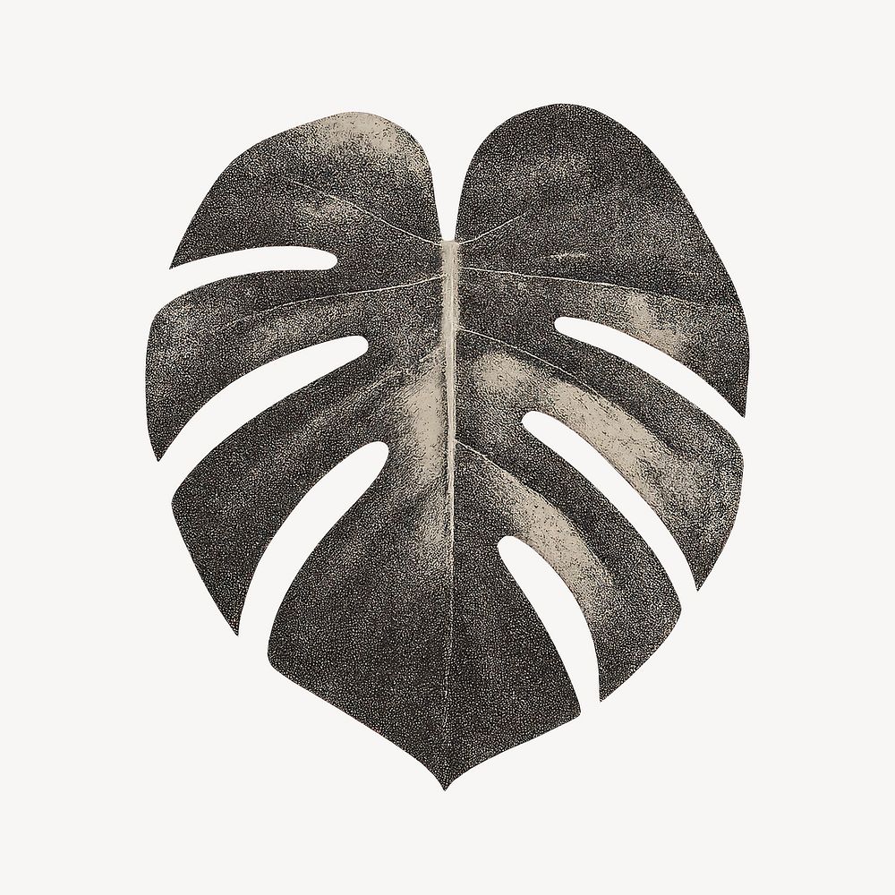Grayscale Nature Design Transparent PNG Images | Free Photos, PNG ... Grayscale Nature Design Transparent PNG Images | Free Photos, PNG ...