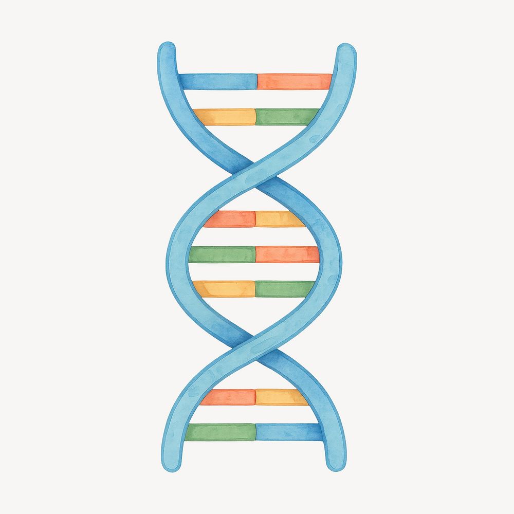 Colorful DNA helix illustration | Free Photo Illustration - rawpixel