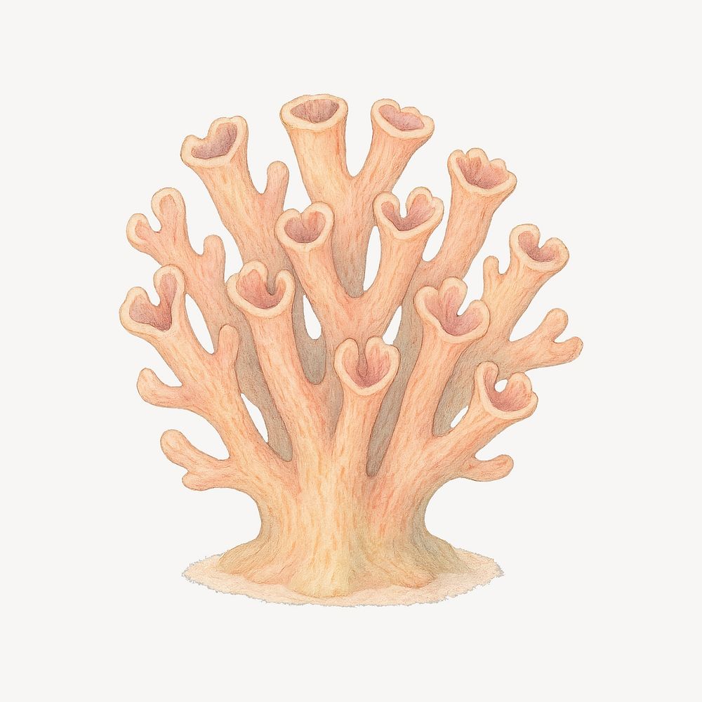 Early+life+and+background Sea Images | Free Photos, PNG Stickers ...