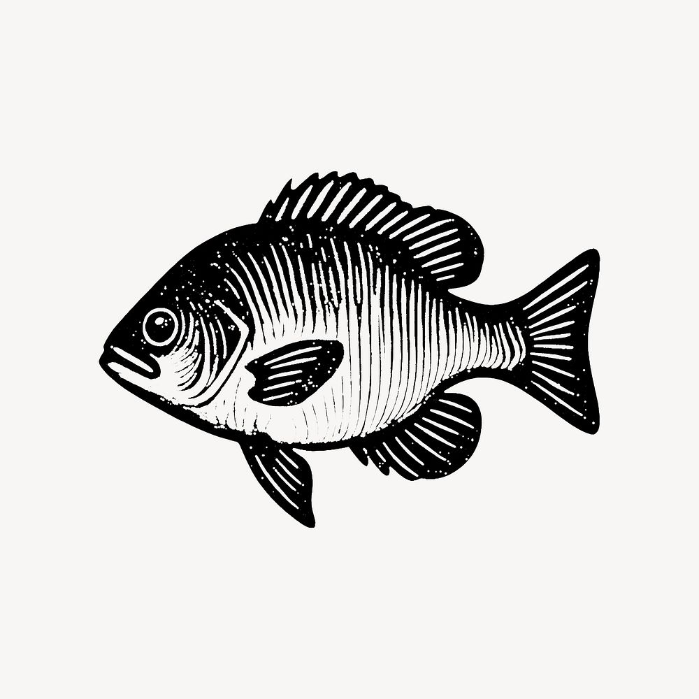 Black And White Fish Drawing Animal Images | Free Photos, PNG Stickers ...