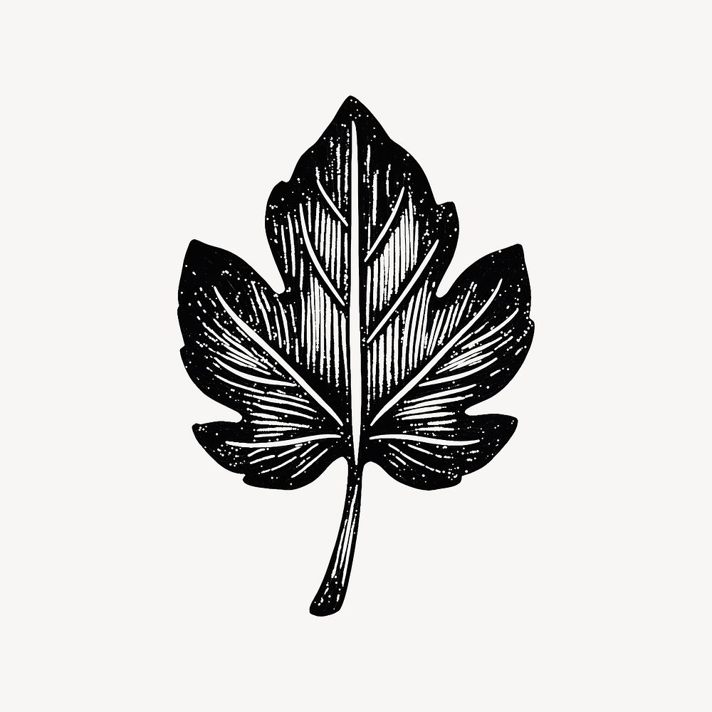 Detail+drawing Shadow Vintage Style Images | Free Photos, PNG Stickers ...