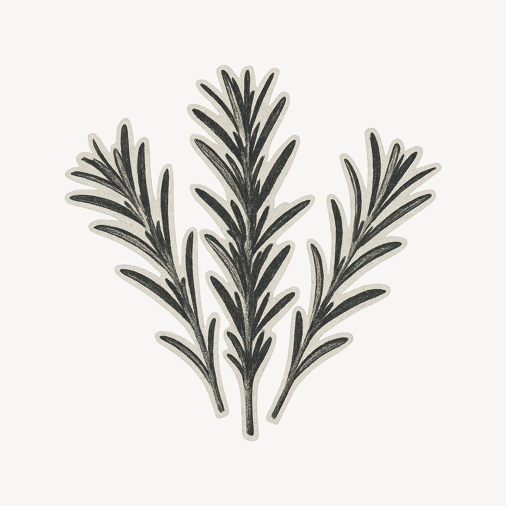 Vintage Drawings Of Herbs Paper Images | Free Photos, PNG Stickers ...