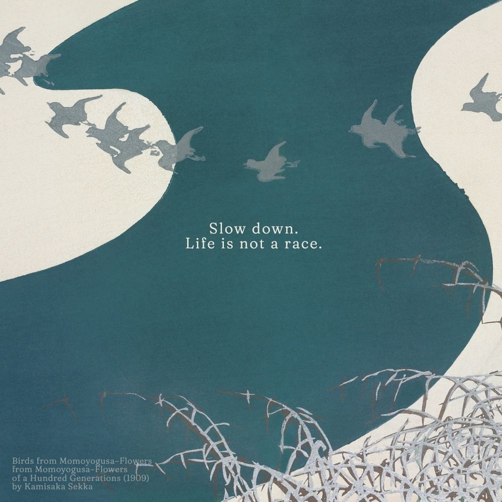 Free+down;a Cc0 Images | Free Photos, PNG Stickers, Wallpapers ...