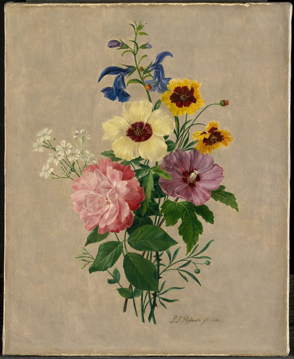 Flowers (1820) Pierre Joseph Redouté | Free Photo Illustration - rawpixel