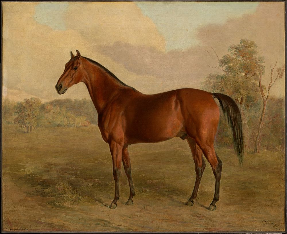 Horse Oil Paintings Images | Free Photos, PNG Stickers, Wallpapers ...