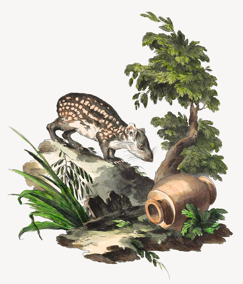 Paca Descrizioni Degli Animali, vintage | Premium PSD - rawpixel