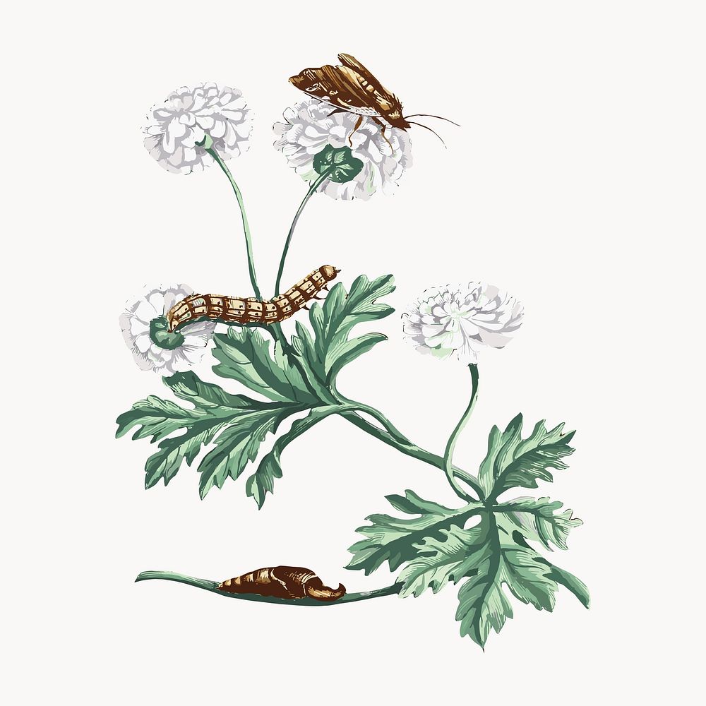 Caterpillars, butterflies and flowers illustration | Free Vector - rawpixel