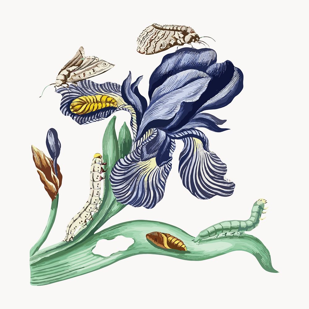 Caterpillars, butterflies and flowers illustration | Free Vector - rawpixel