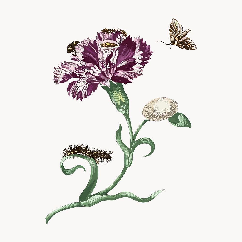 Caterpillars, butterflies and flowers illustration | Free Vector - rawpixel
