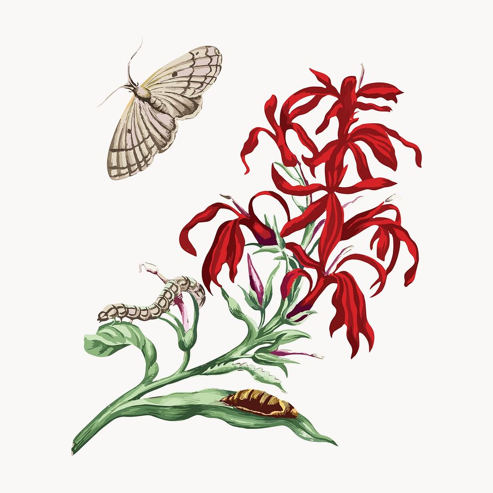 Caterpillars, butterflies and flowers illustration | Free Vector - rawpixel