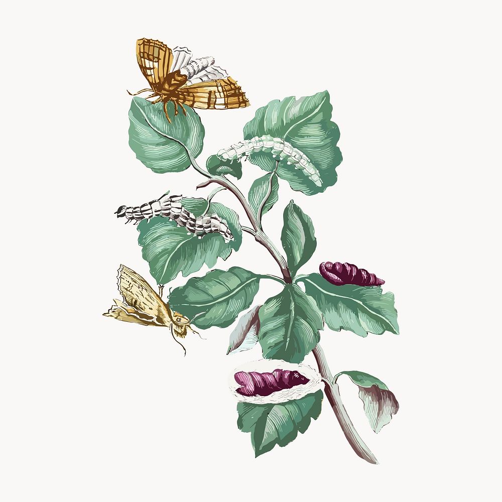 Caterpillars, butterflies and flowers illustration | Free Vector - rawpixel