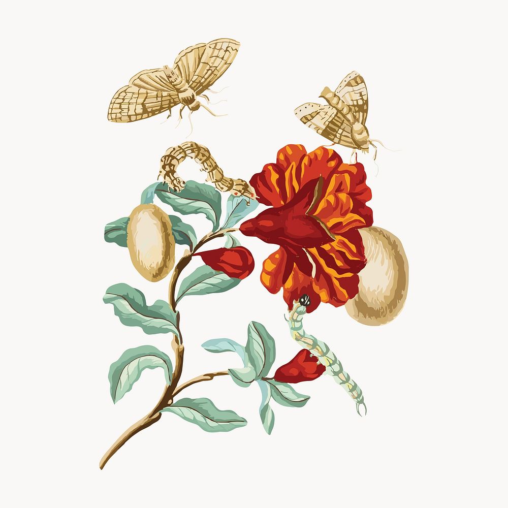 Caterpillars, butterflies and flowers illustration | Free Vector - rawpixel