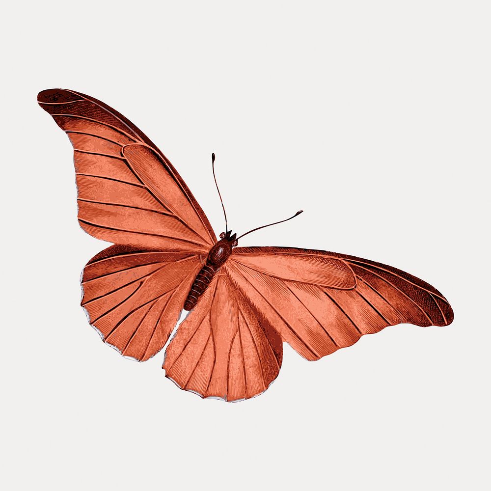 Red butterfly sticker, vector element. | Free Vector - rawpixel