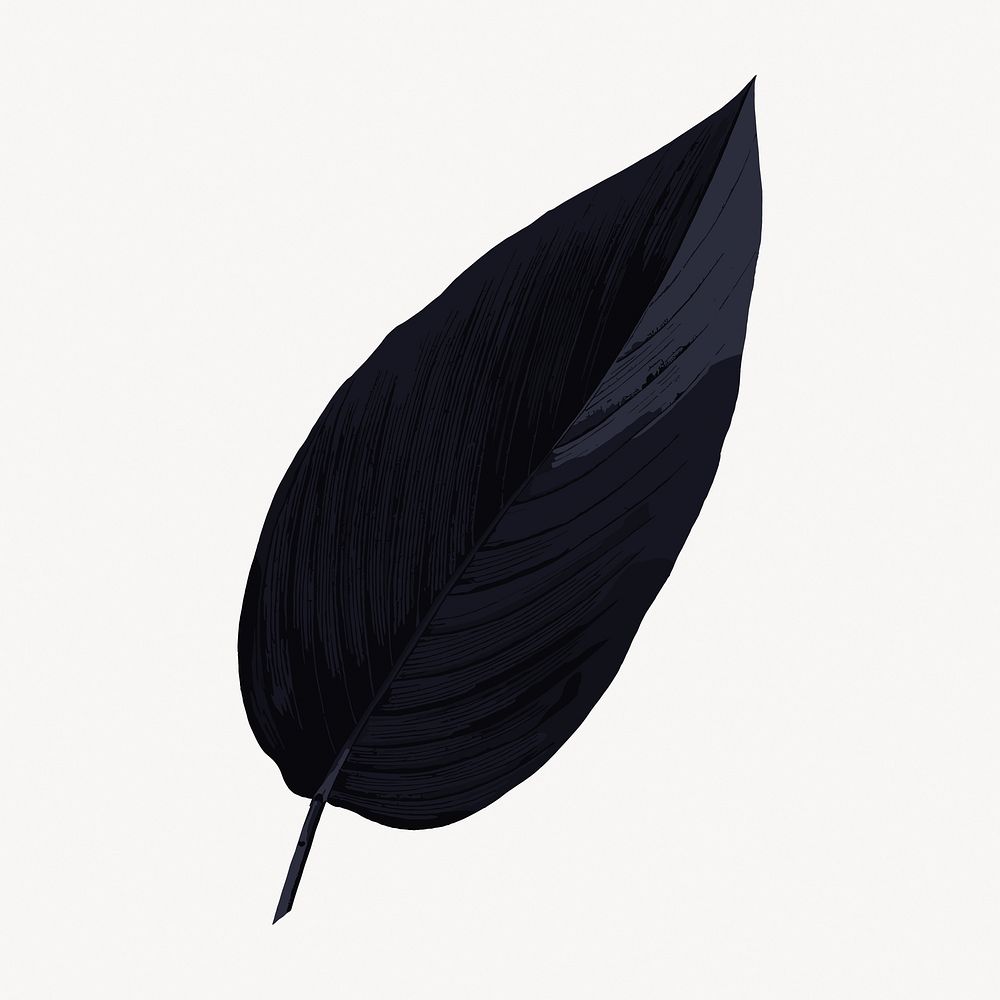 Vintage black leaf, vector illustration | Free Vector - rawpixel
