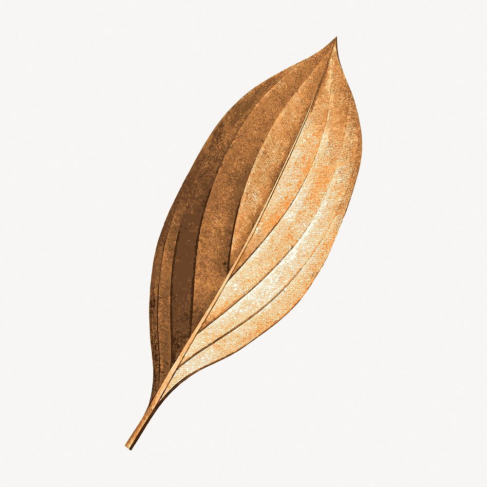 Vintage Autumn brown leaf, vector | Free Vector - rawpixel