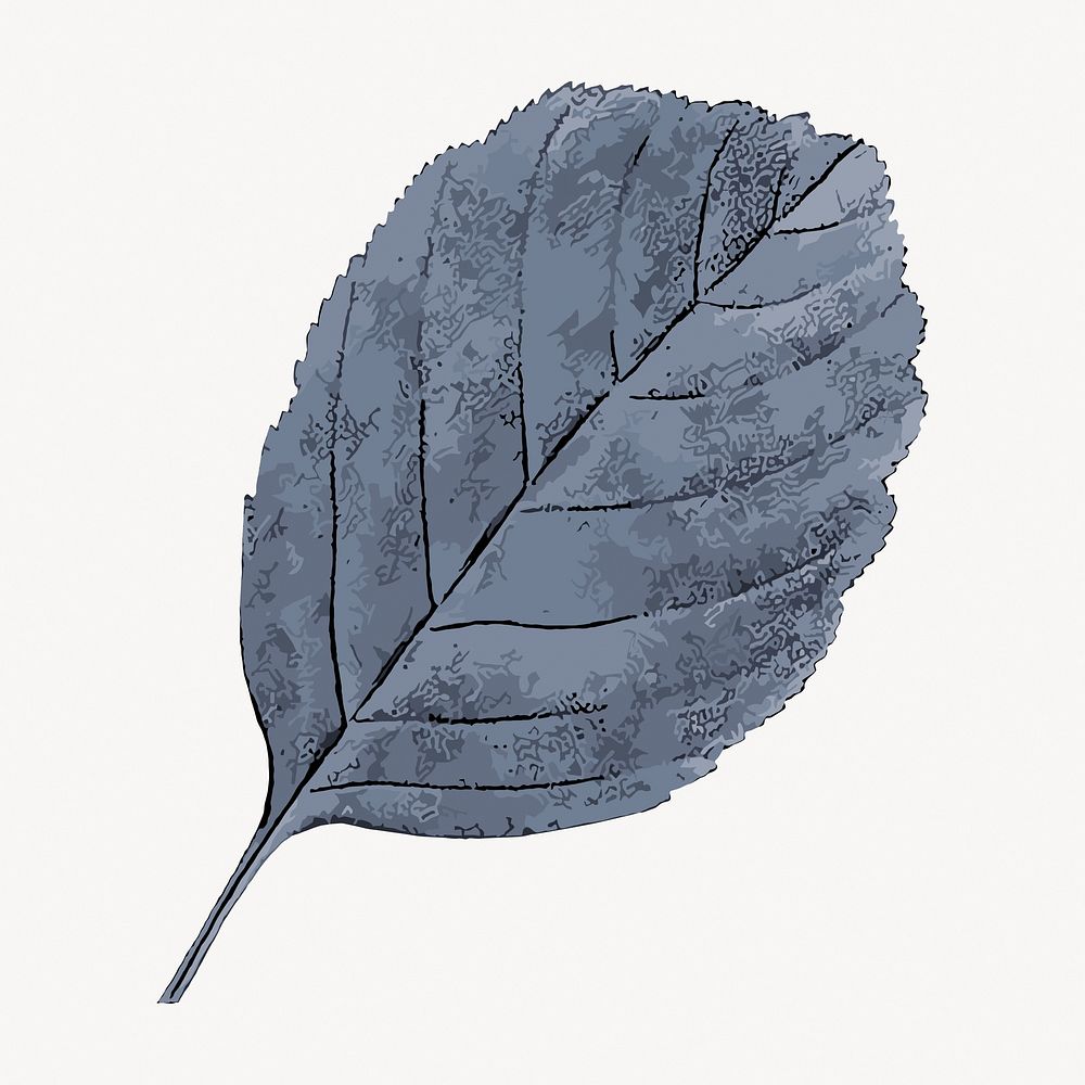 Vintage blue leaf, vector illustration | Free Vector - rawpixel