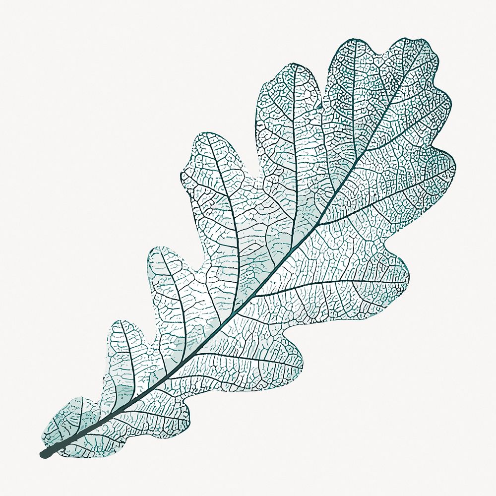 Vintage leaf, vector illustration isolated | Free Vector - rawpixel