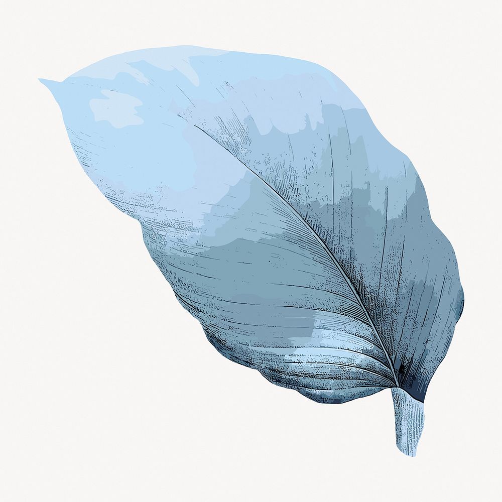 Vintage blue leaf, vector illustration | Free Vector - rawpixel