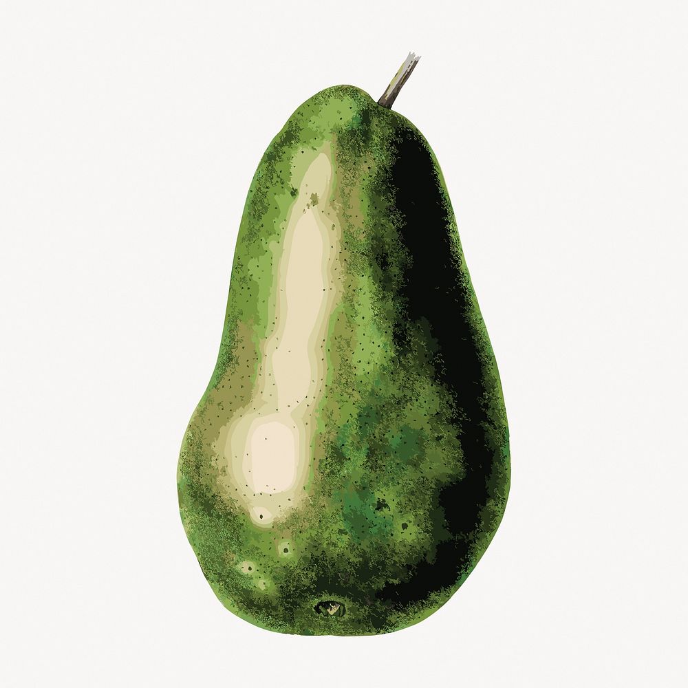 Vintage aesthetic pear illustration, vector | Free Vector - rawpixel