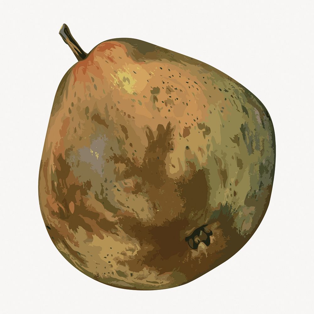 Vintage rotten pear fruit illustration, | Free Vector - rawpixel