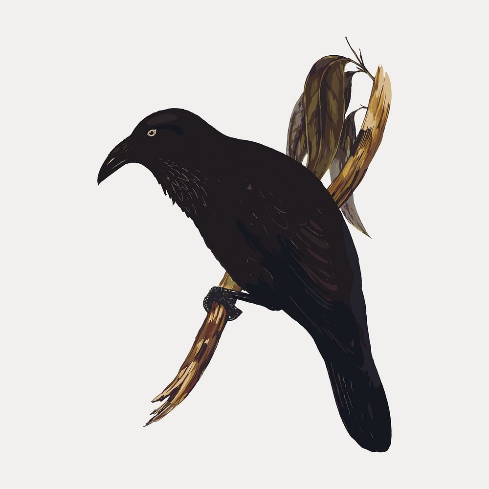 Australia Clipart Sticker Images | Free Photos, PNG Stickers ...