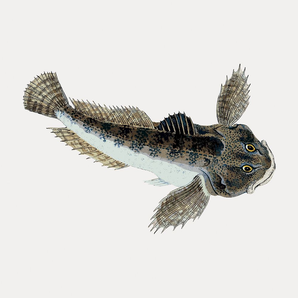 Ugly Art Images | Free Photos, PNG Stickers, Wallpapers & Backgrounds ...