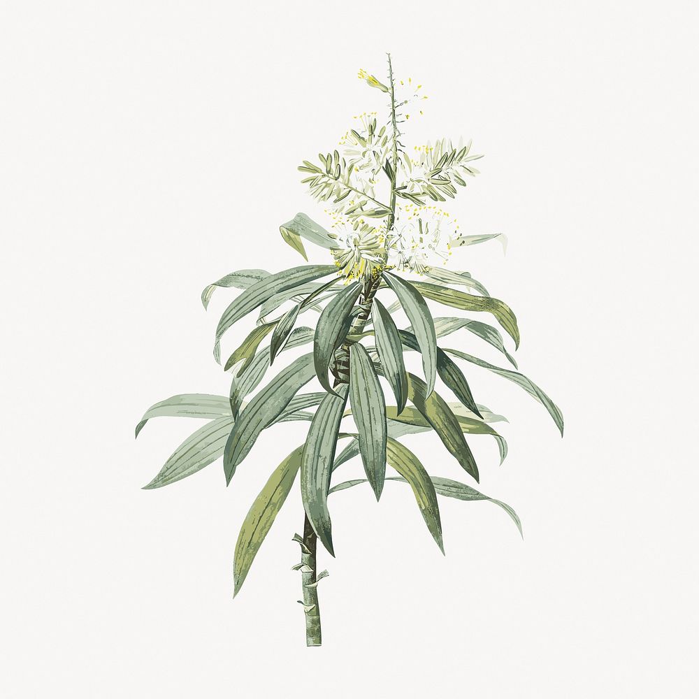 Reflexa Images | Free Photos, PNG Stickers, Wallpapers & Backgrounds ...