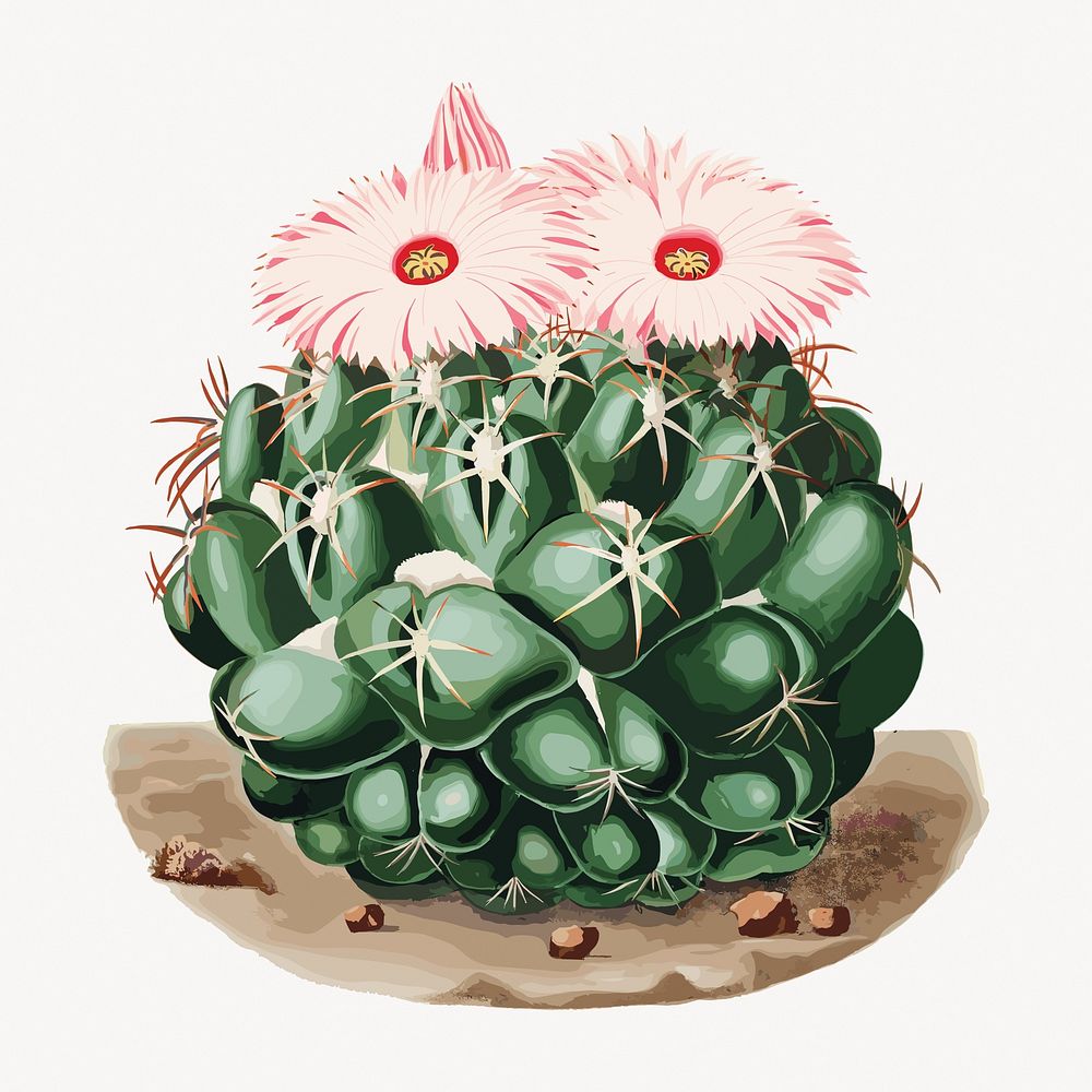 Vintage elephant's tooth cactus design | Free Vector Sticker - rawpixel