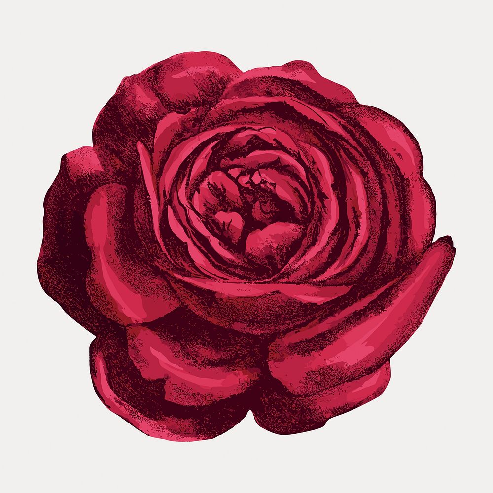 Red rose, vintage French flower | Free Vector - rawpixel