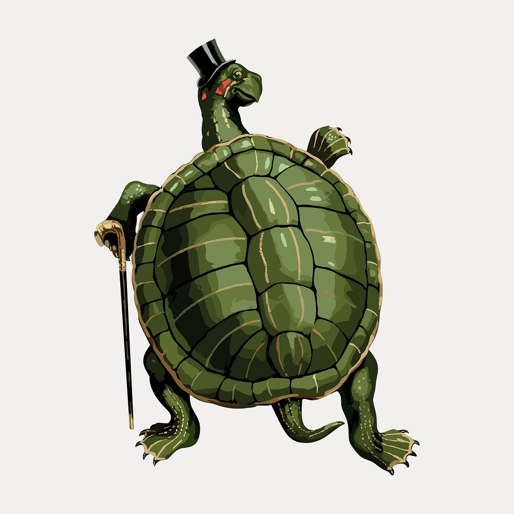 Turtle character vintage illustration, vector | Free Vector - rawpixel