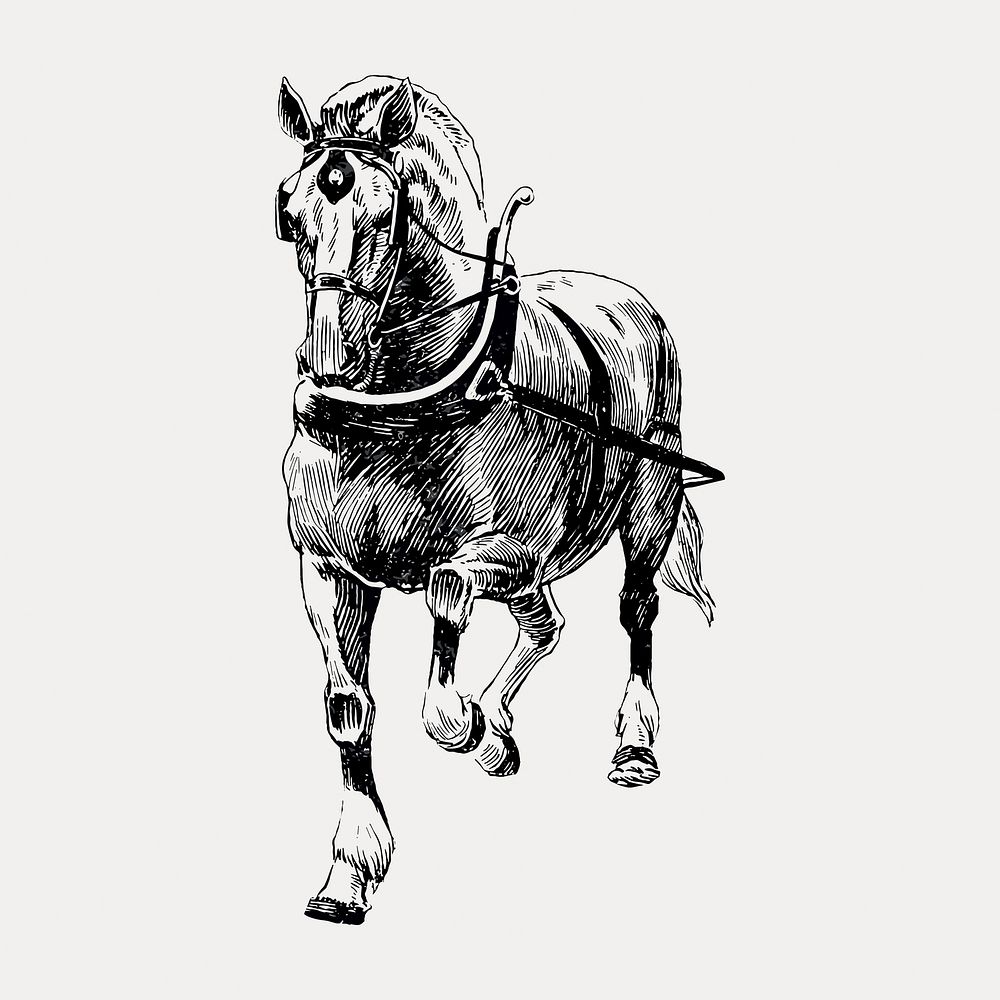 Imageure Images | Free Photos, PNG Stickers, Wallpapers & Backgrounds ...