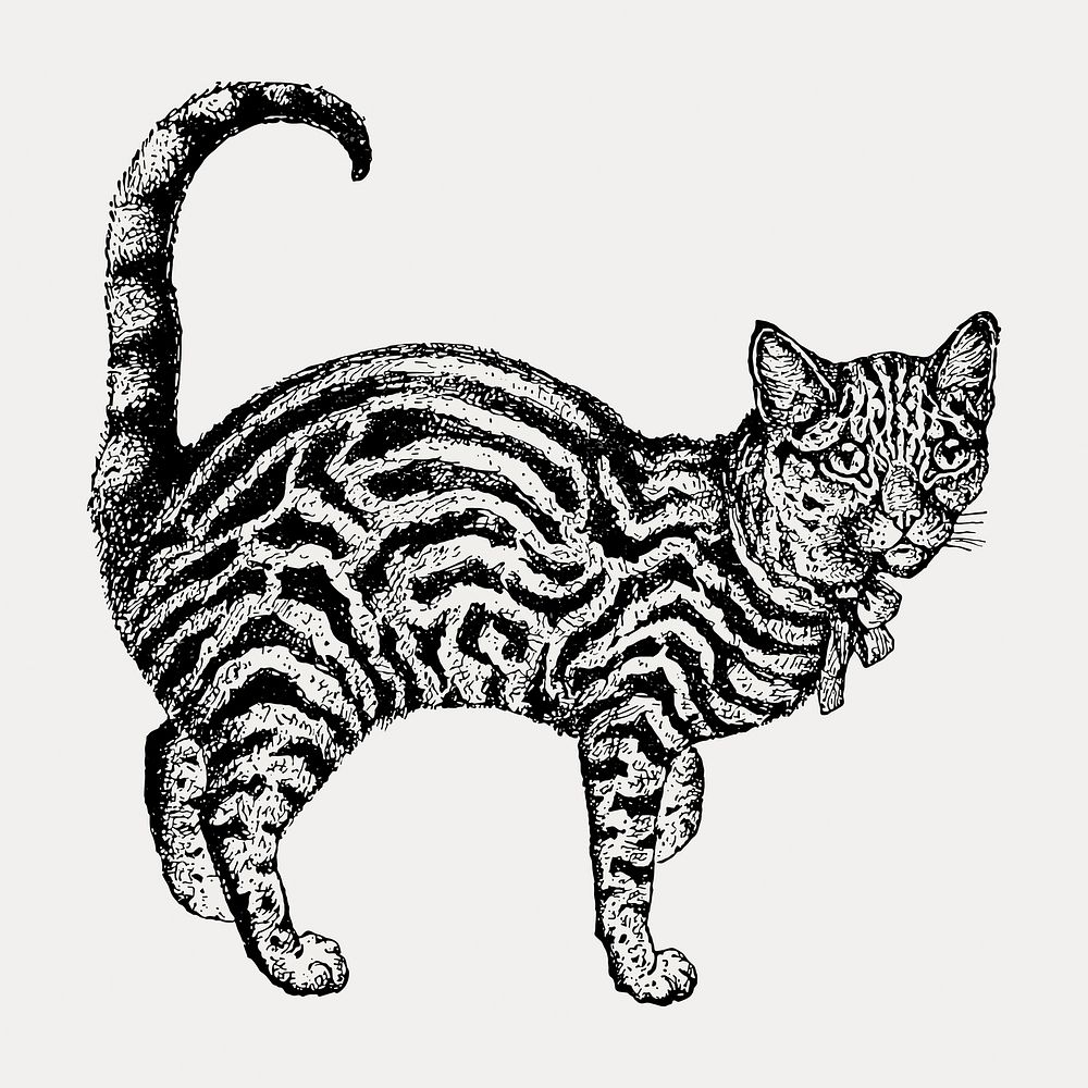 Anyway Images | Free Photos, PNG Stickers, Wallpapers & Backgrounds ...