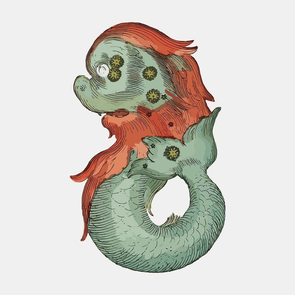 Delphinus+constellation+images Images | Free Photos, PNG Stickers ...