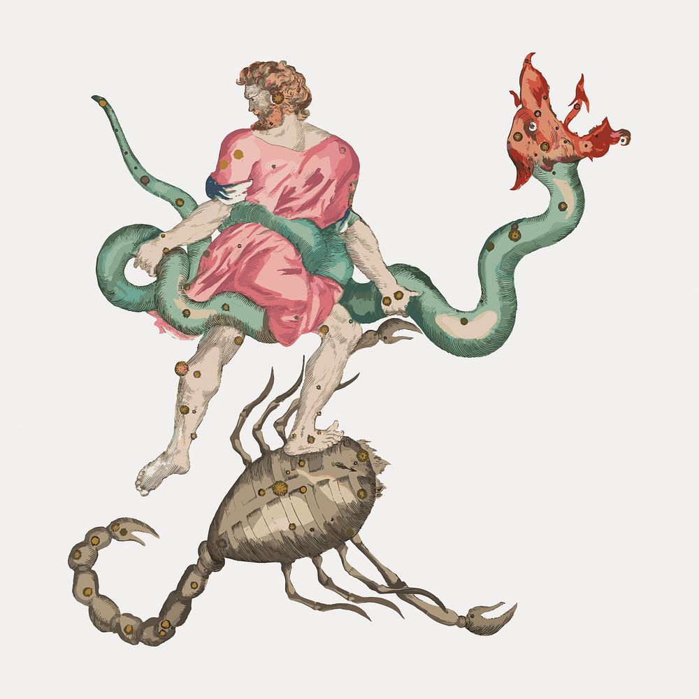 Serpens man constellation, astrology illustration | Free Vector - rawpixel