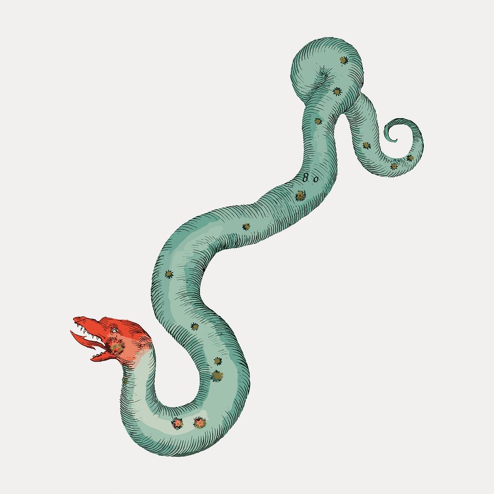 Hydrus snake constellation, astrology animal | Free Vector - rawpixel