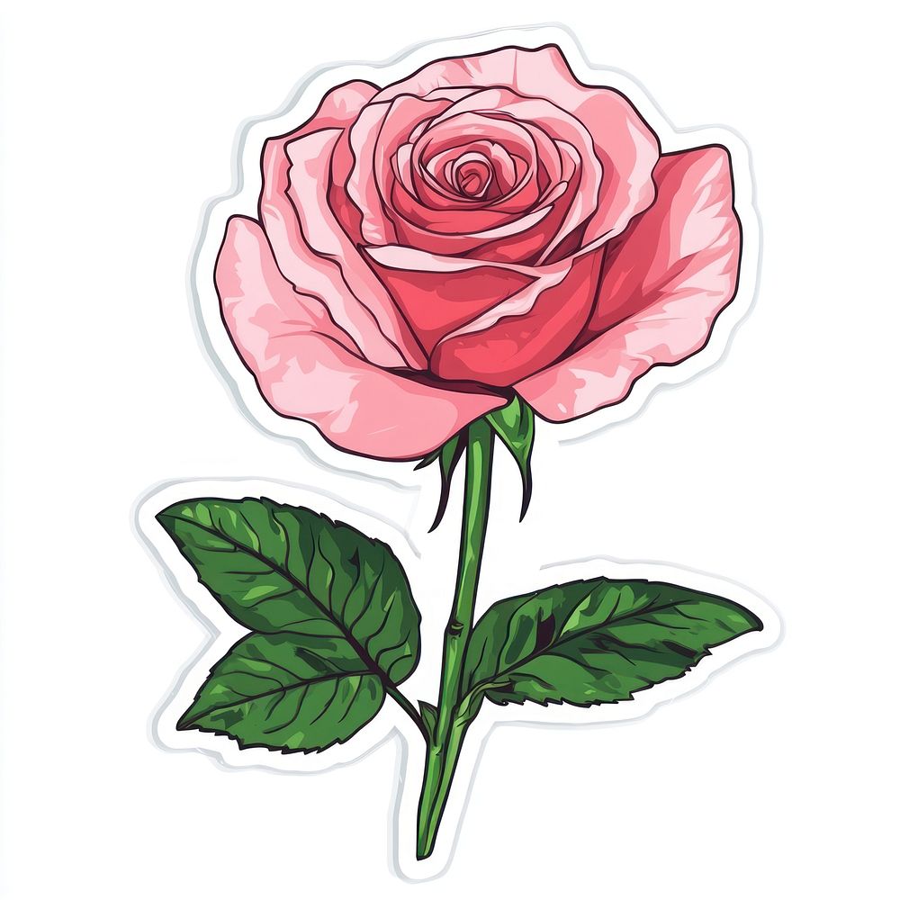 Pink rose sticker vector illustration | Free Photo Illustration - rawpixel