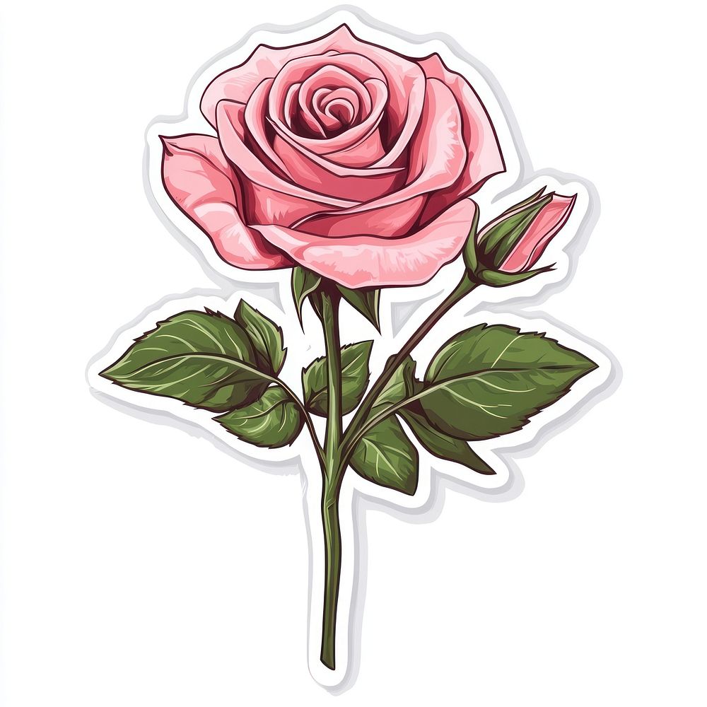 Pink rose sticker vector illustration | Free Photo Illustration - rawpixel