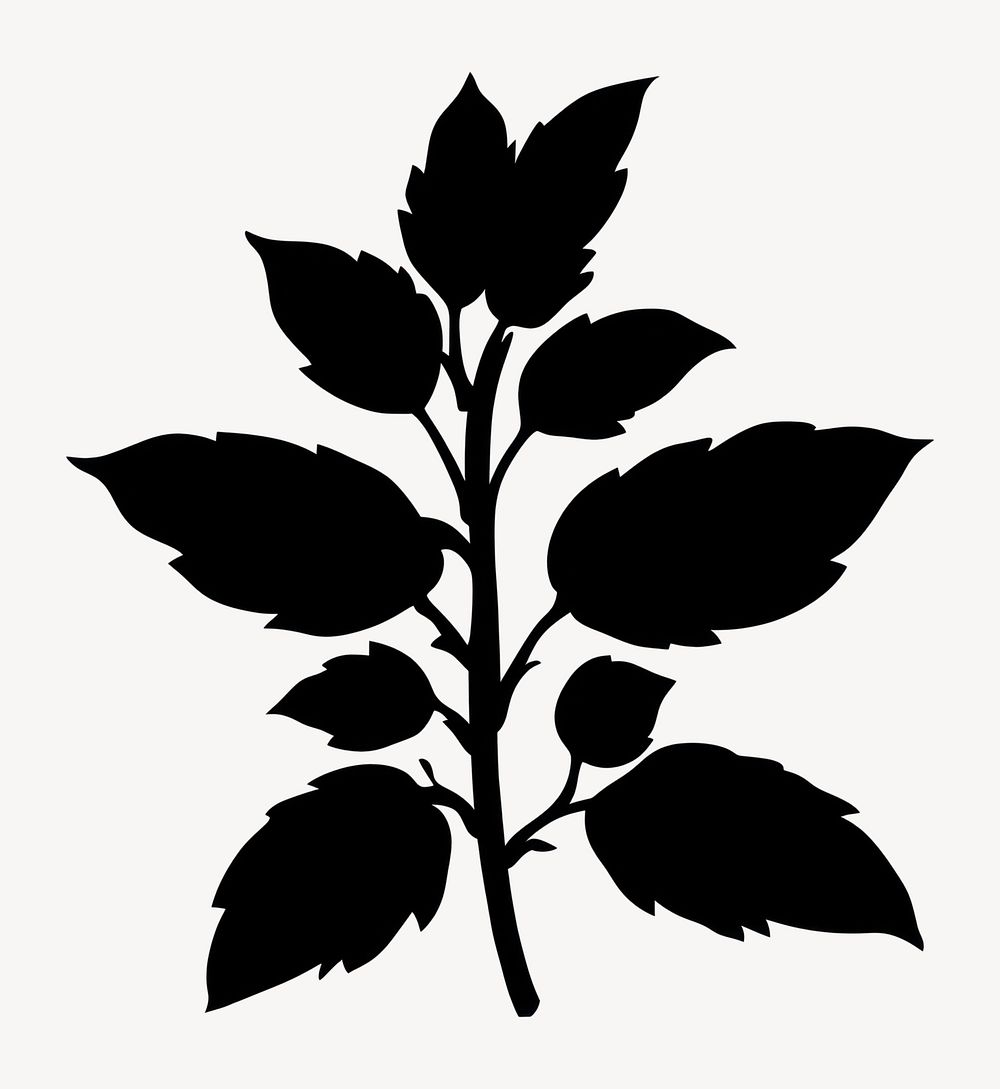 Basil leaves silhouette leaf illustration | Free Vector - rawpixel