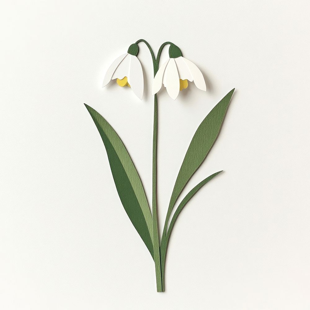 Snowdrop flower illustration white paper. | Free Photo - rawpixel