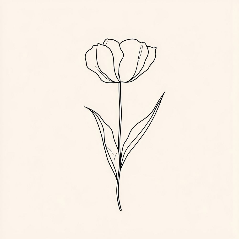 Tulip flower illustration drawing sketch. | Free Photo Illustration ...
