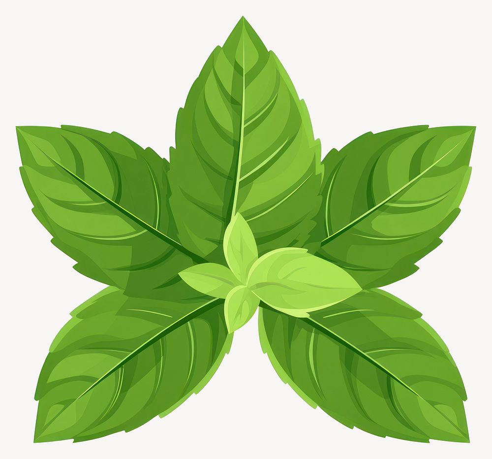 Green tropical mint leaves leaf | Free Vector - rawpixel