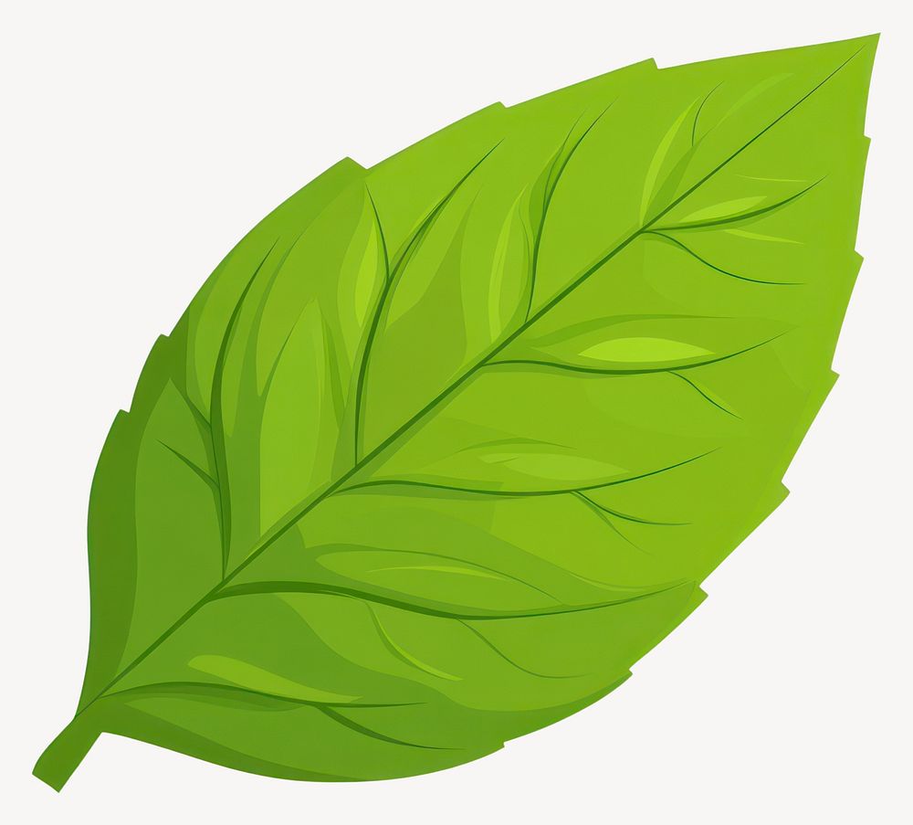 Green basill leaf illustration eco-friendly | Free Vector - rawpixel