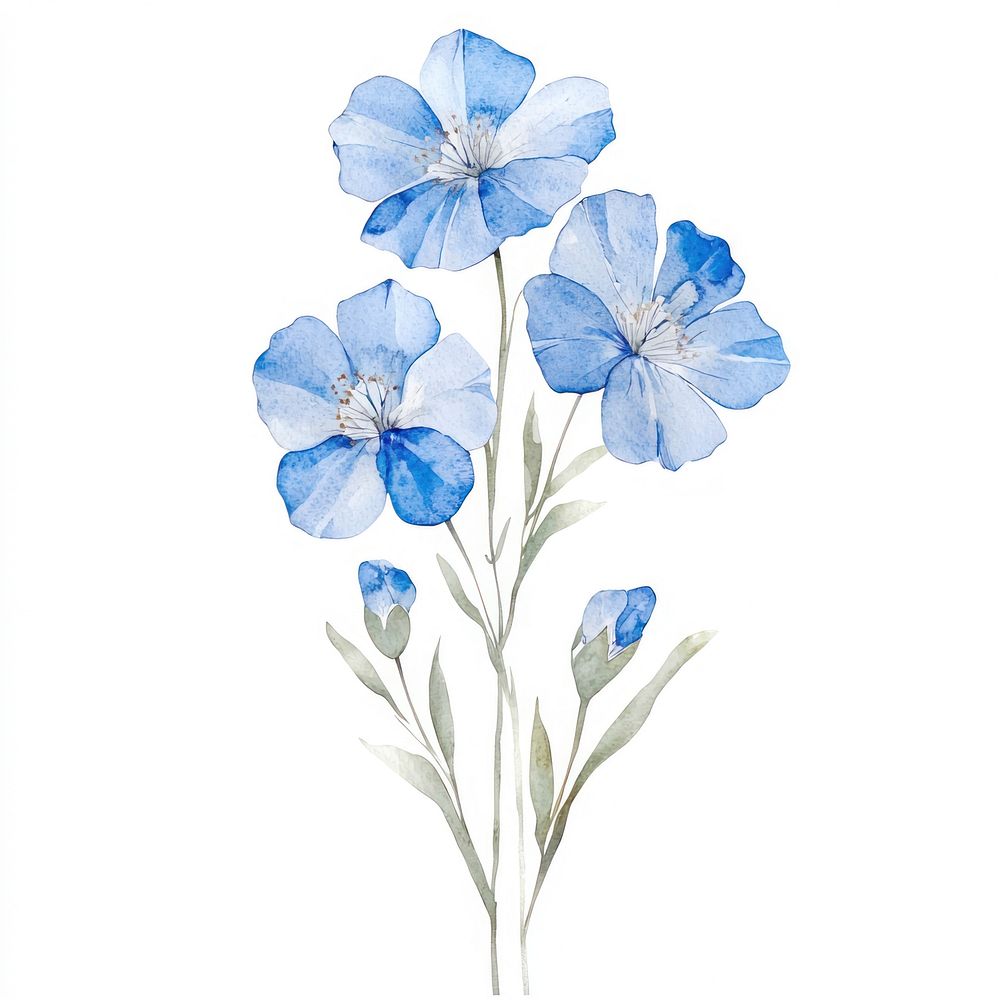 Watercolor blue wildflower flowers illustration | Free Photo ...