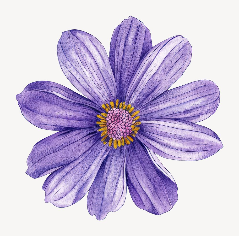 Lavender color flower illustration drawing | Free Vector Illustration ...